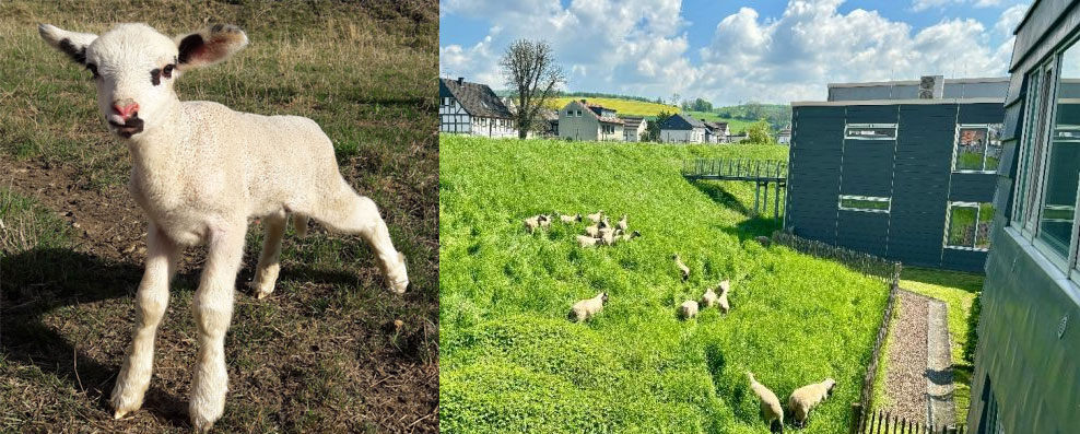 Drop Everything : the basics of high-performance drop seals from athmer